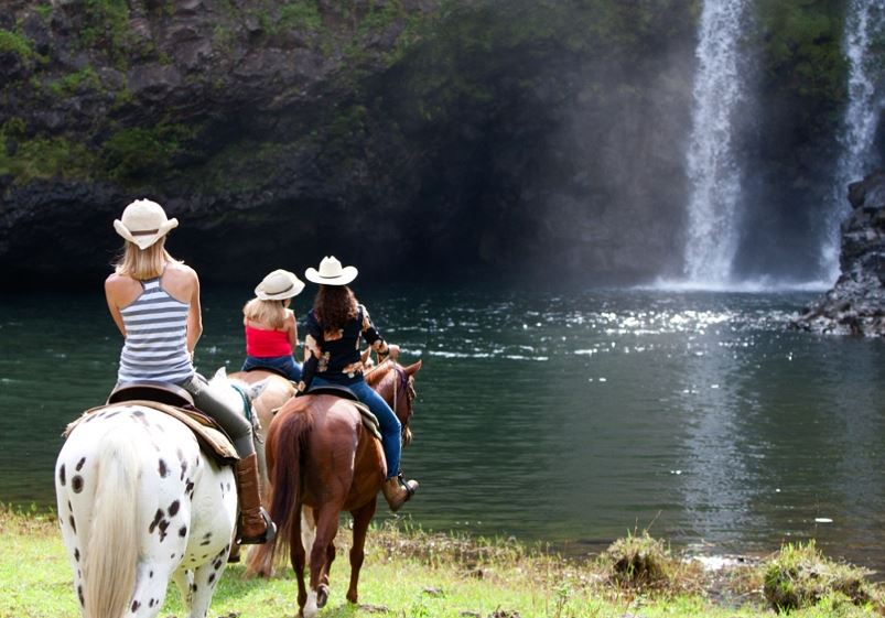 Big Island HOrse back riding - Maui Sights & Treasures